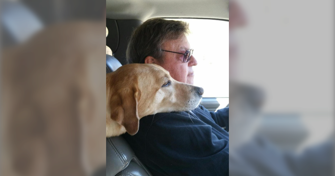 William "Bill" Hewitson Price Jr. - Funerals | Cremation | Memorials ...